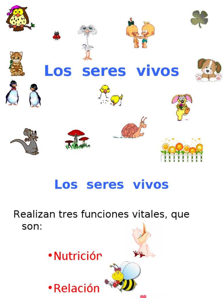 Las características fundamentales de los seres vivos | PDF | Organismos ...