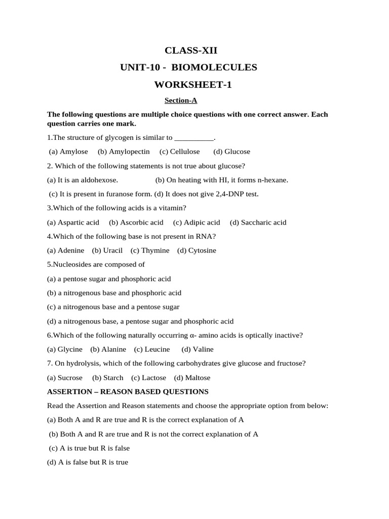 Class 12 Biomolecules Worksheet 1 | PDF | Nucleic Acids | Dna