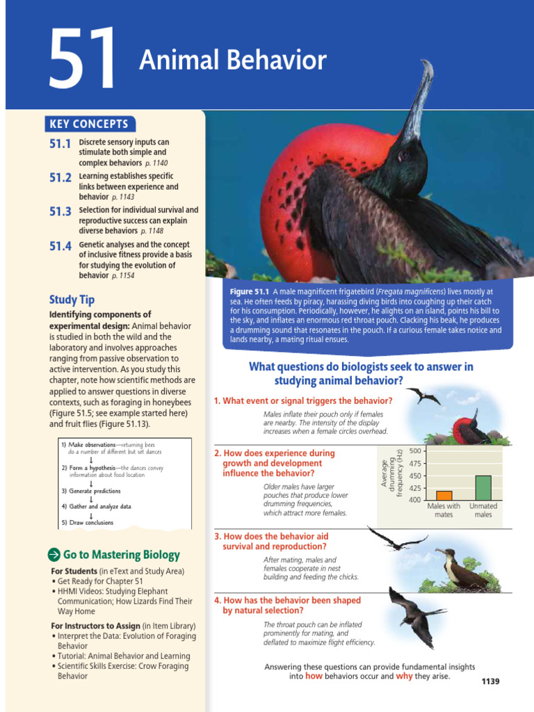 Animal Behavior Campbell | PDF | Ethology | Behavioural Sciences