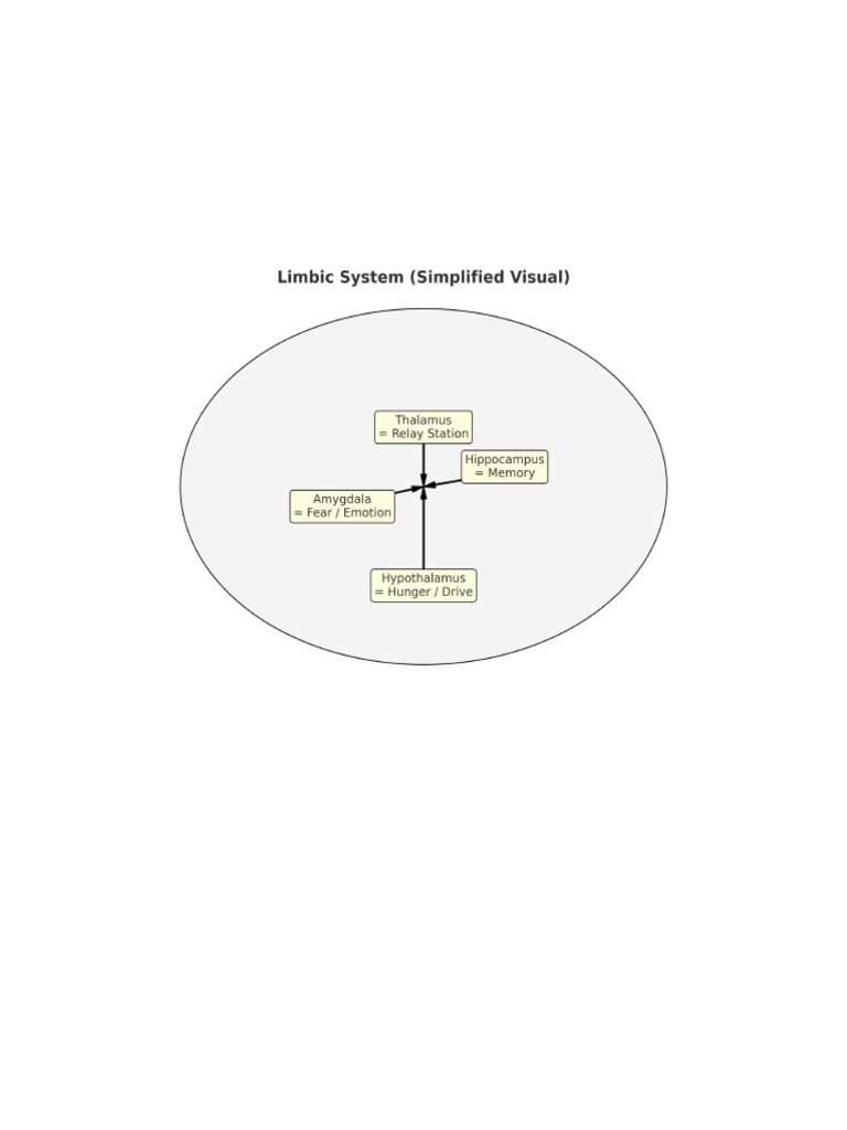 EPPP Visual Study Pack | PDF