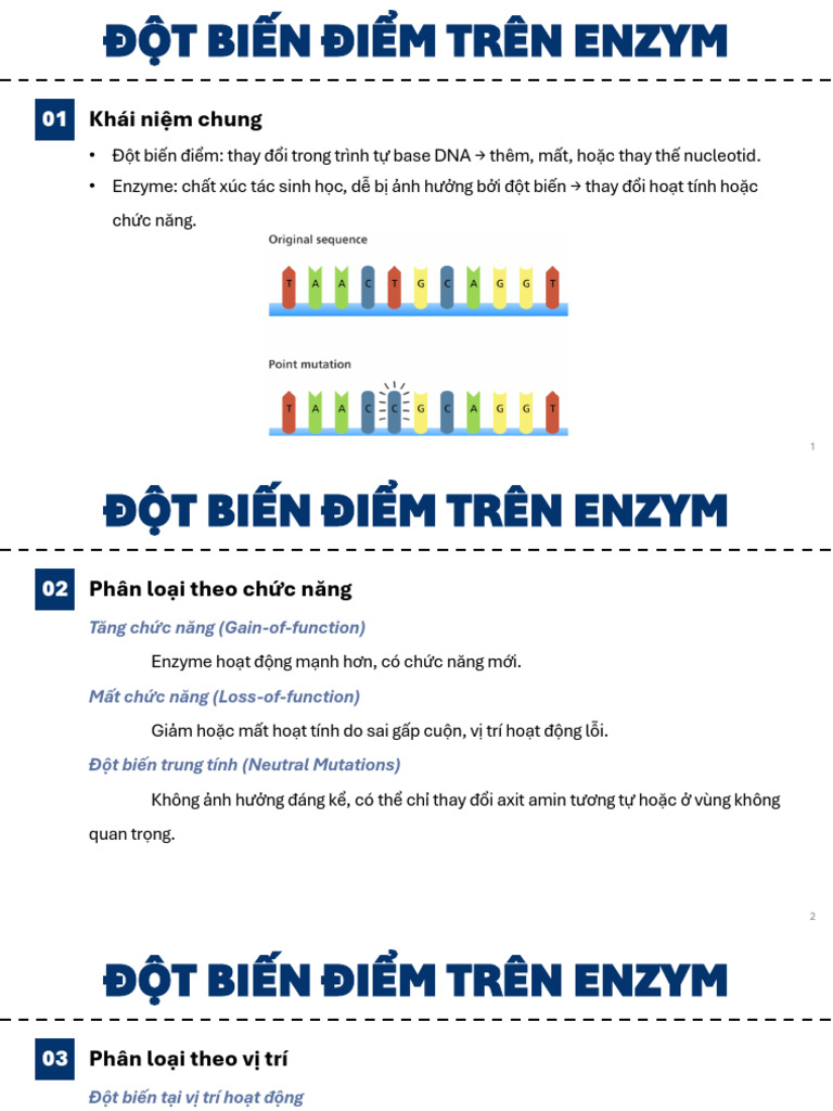 File Tóm Tắt | PDF