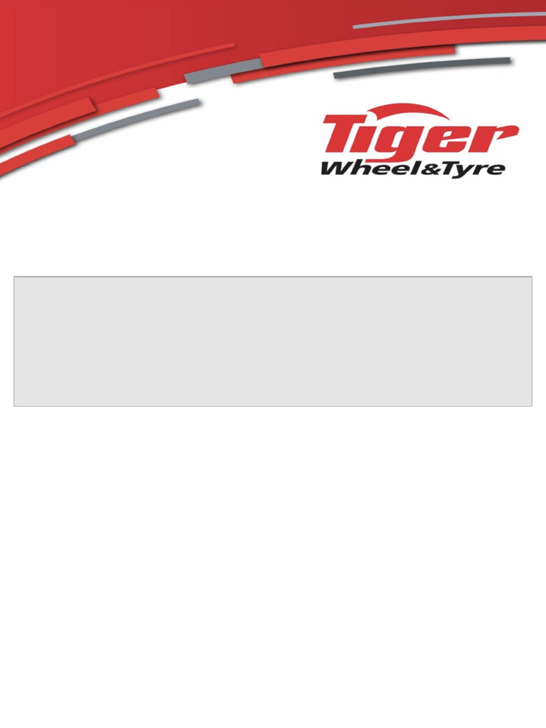 Tiger Wheel & Tyre - Inspection Report | PDF | Vehicles