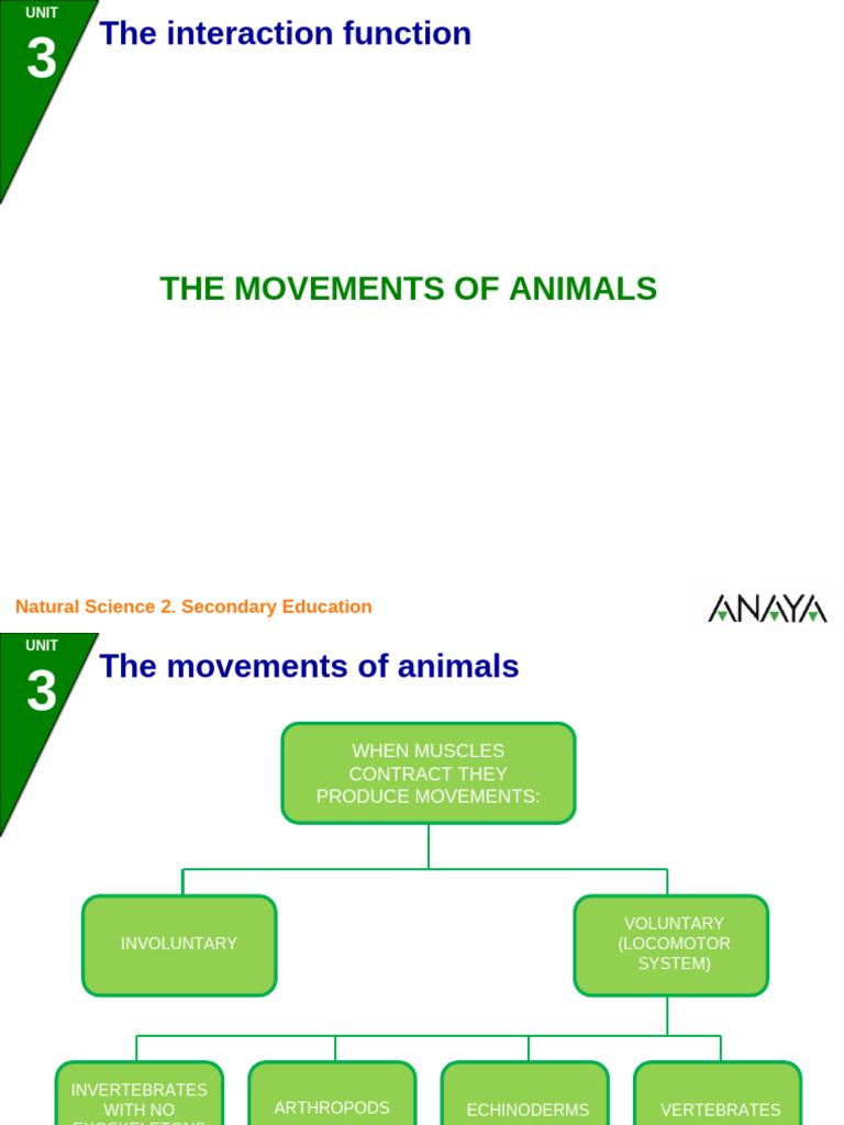 2SC 48 3P Movements Animals | PDF | Muscle | Animal Locomotion