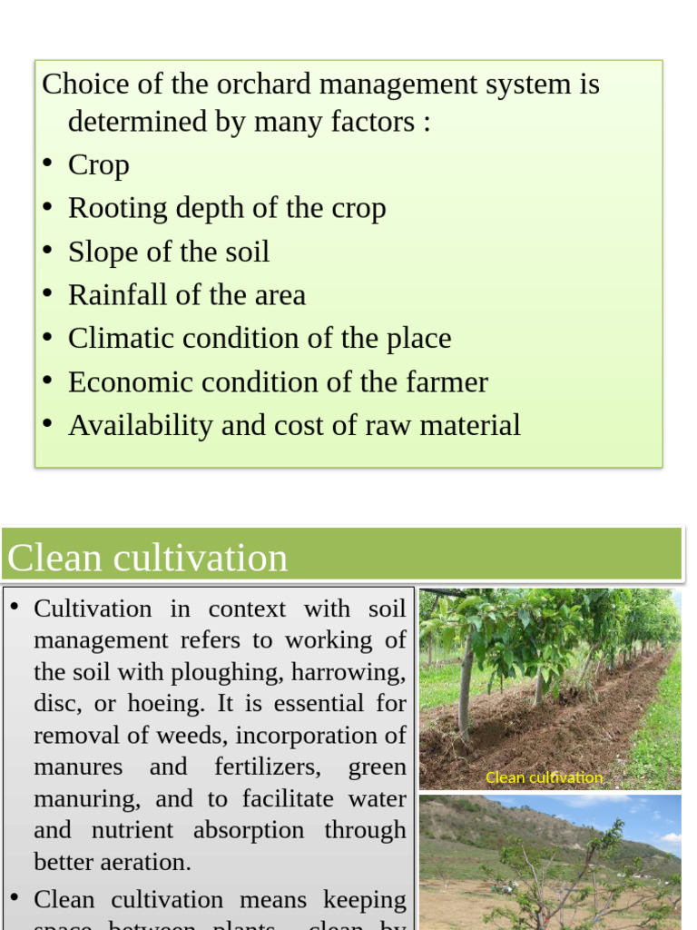 Orchard Management Systems Explained | PDF | Mulch | Soil