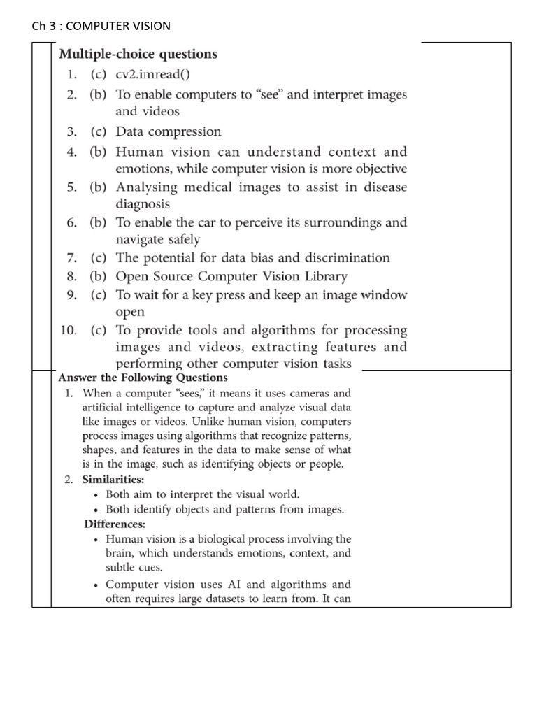 CH 3 Computer Vision | PDF