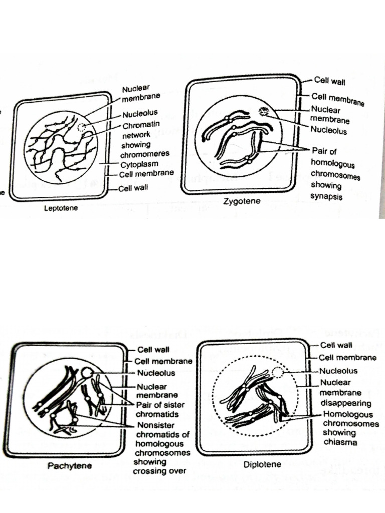 Spotter 4 Diagram | PDF