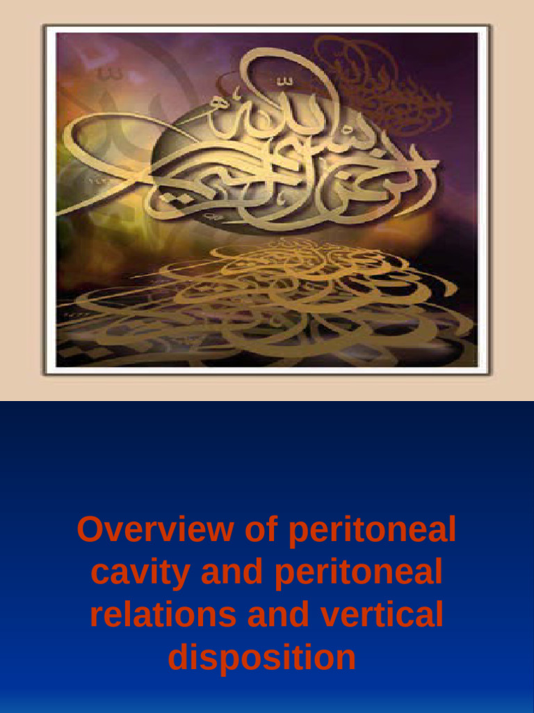 Overview of Peritoneum and Vertical Disposition | PDF | Peritoneum | Liver