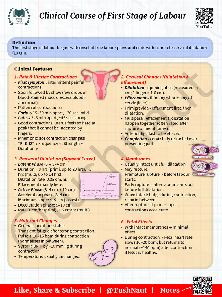 First Stage of Labour Overview | PDF | Childbirth | Medical Specialties