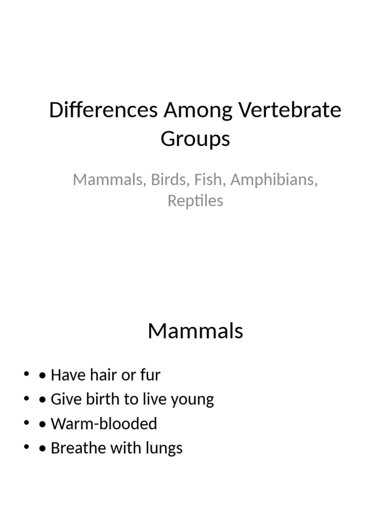 Vertebrate Group Characteristics Explained | PDF