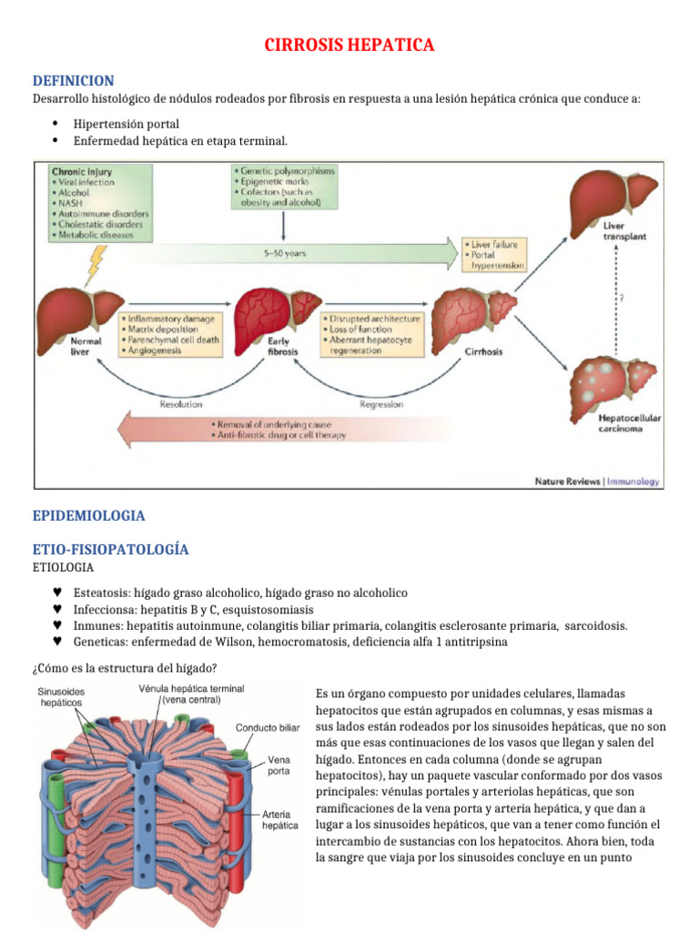 Cirrosis Hepatica Pdf Cirrosis Hepatocito