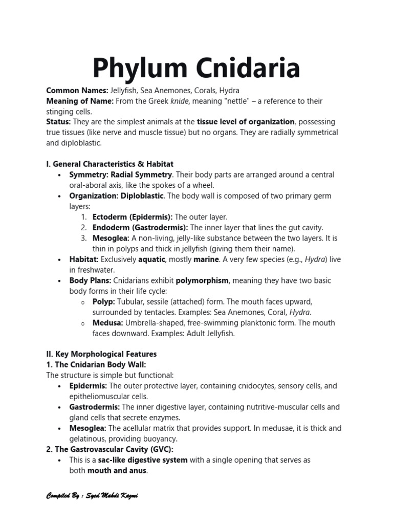 Phylum Cnidaria | PDF | Coral | Biology