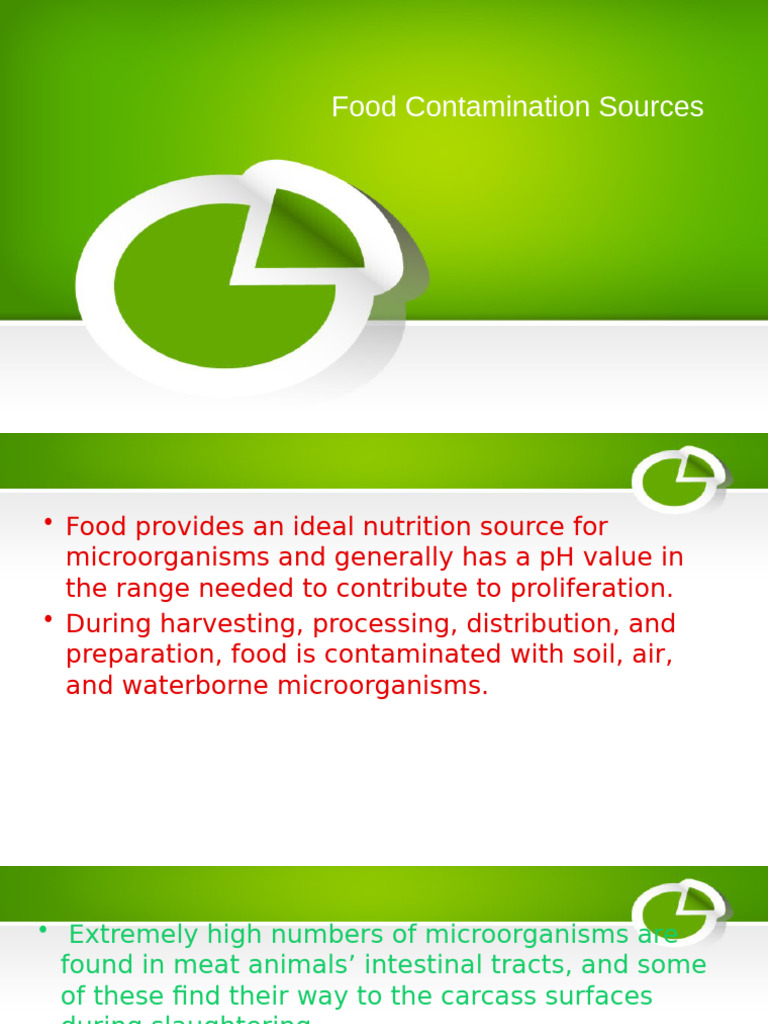Sources of Food Contamination Explained | PDF | Foodborne Illness ...