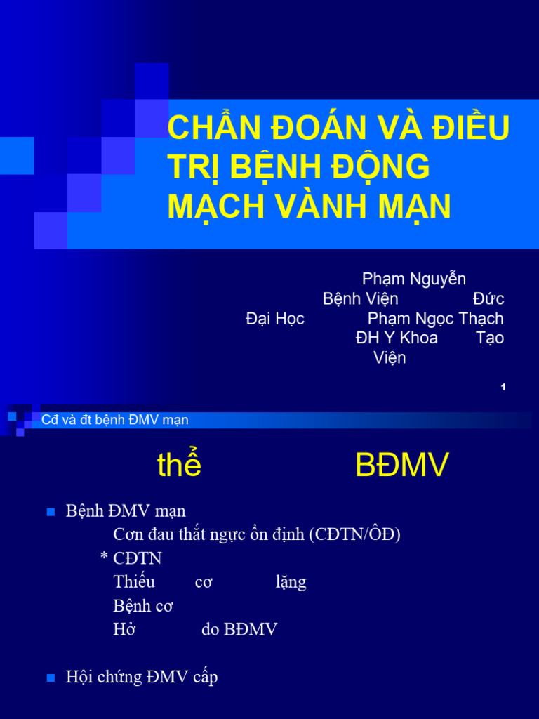Chan Doan Va Dieu Tri Benh DMV Man Pham Nguyen Vinh | PDF