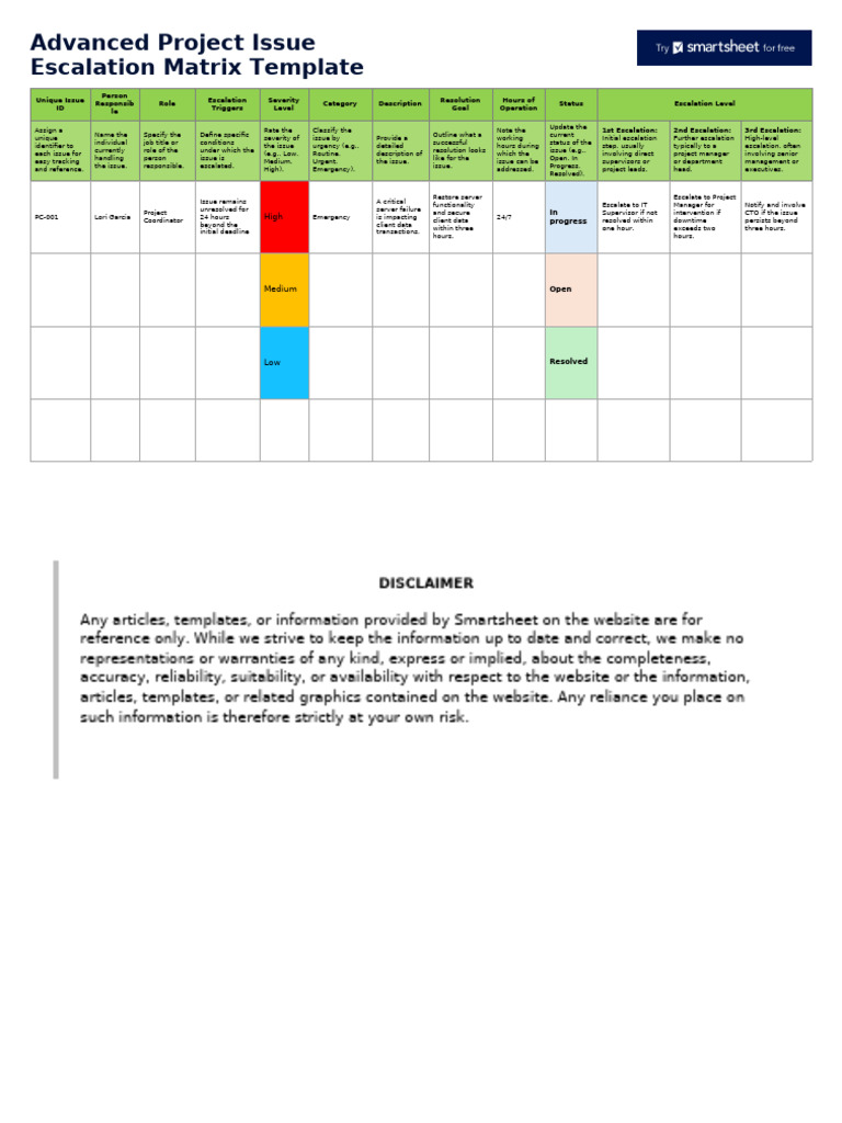 IC Advanced Project Issue Escalation Matrix Template 12107 WORD | PDF ...
