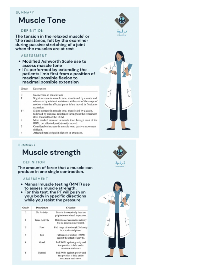 Musle Tone + Strength 2 | PDF