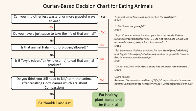 Decision Chart For Eating Meat As A Muslim | PDF
