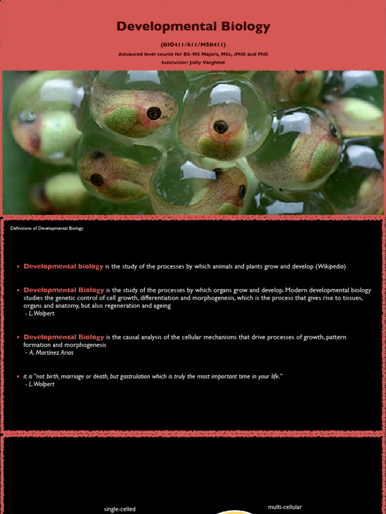 Understanding Developmental Biology Concepts | PDF | Developmental ...