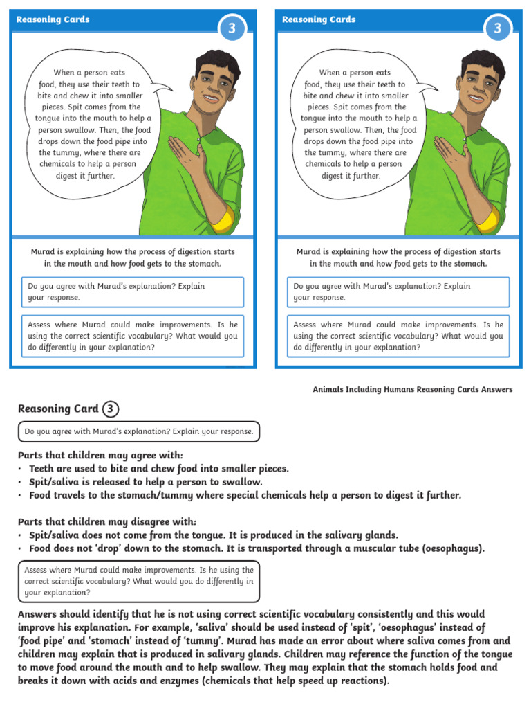 Reasoning Card 3 - Parts of The Digestive System | PDF | Saliva | Digestion