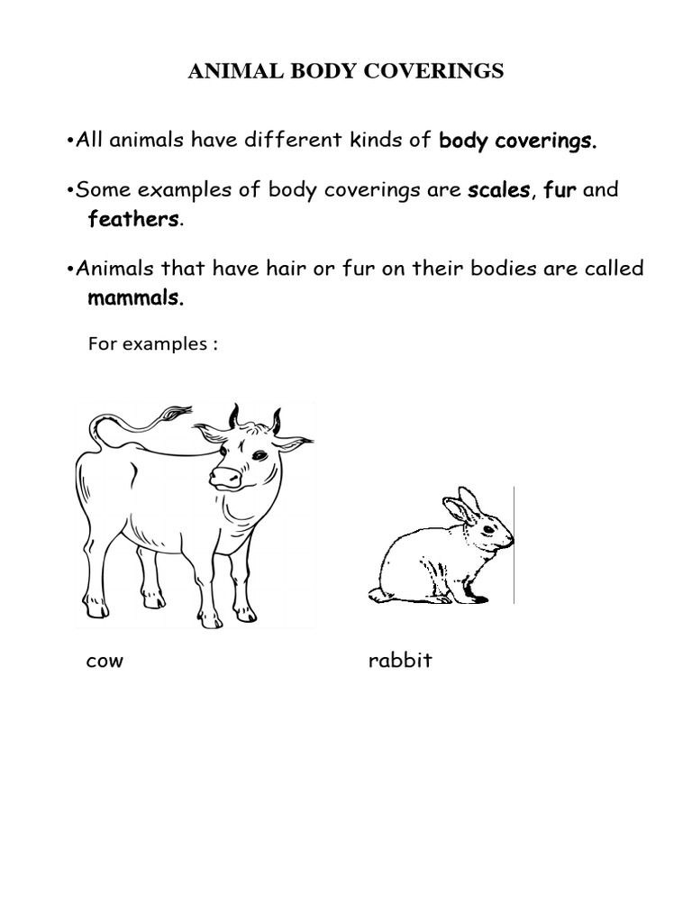 Types of Animal Body Coverings Explained | PDF