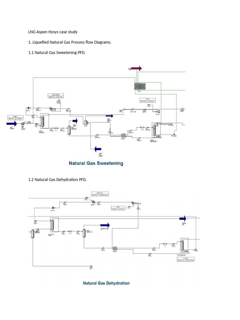 LNG Aspen Hysys Case Study 1. Liquefied Natural Gas Process Flow ...