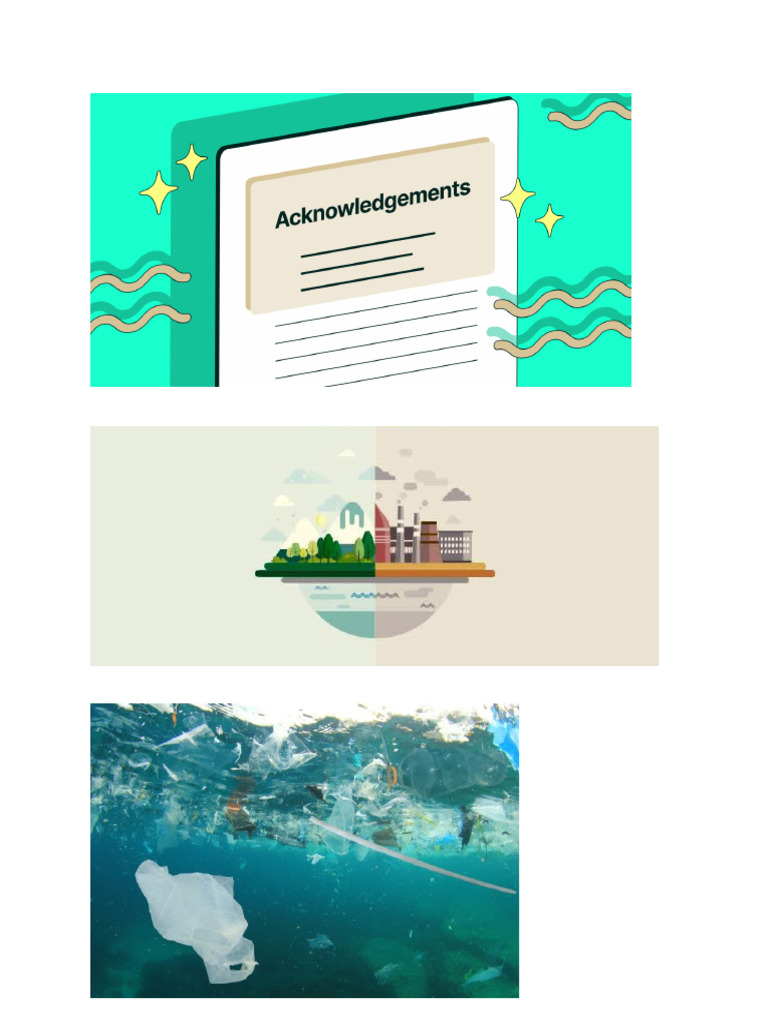 Aarav Geography Project Pics | PDF