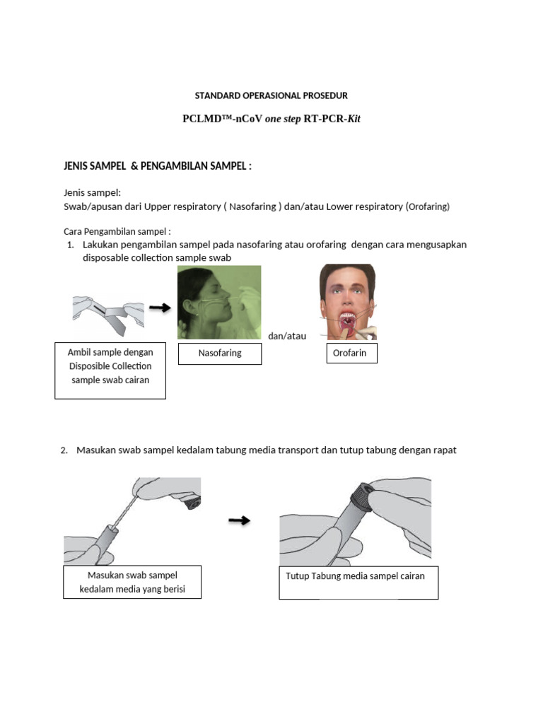 Sop RT-PCR PCL | PDF