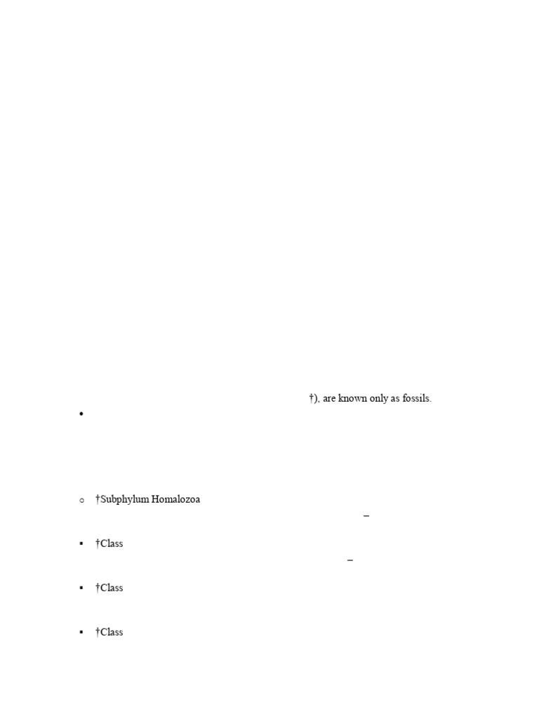 Classification Echinodermata | PDF