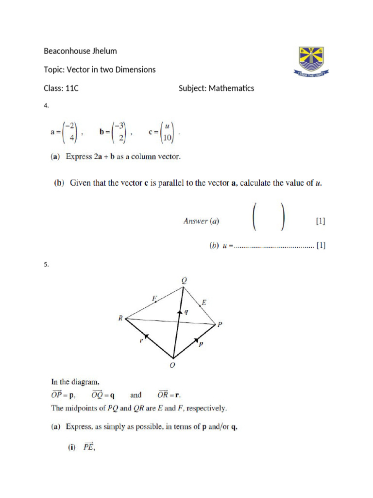 11C Vector Worksheet | PDF