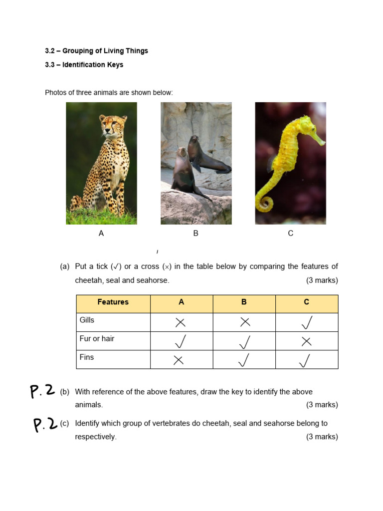 Animal Classification and Identification Keys | PDF