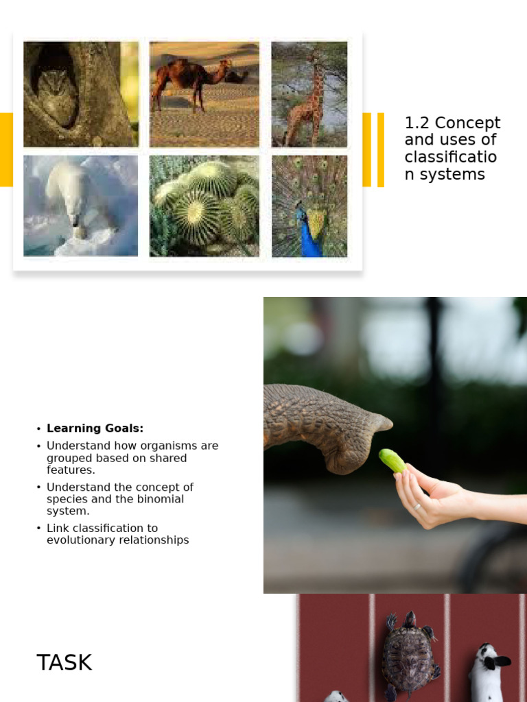 1.2 Concept and Uses of Classification Systems | PDF | Zoology | Biology