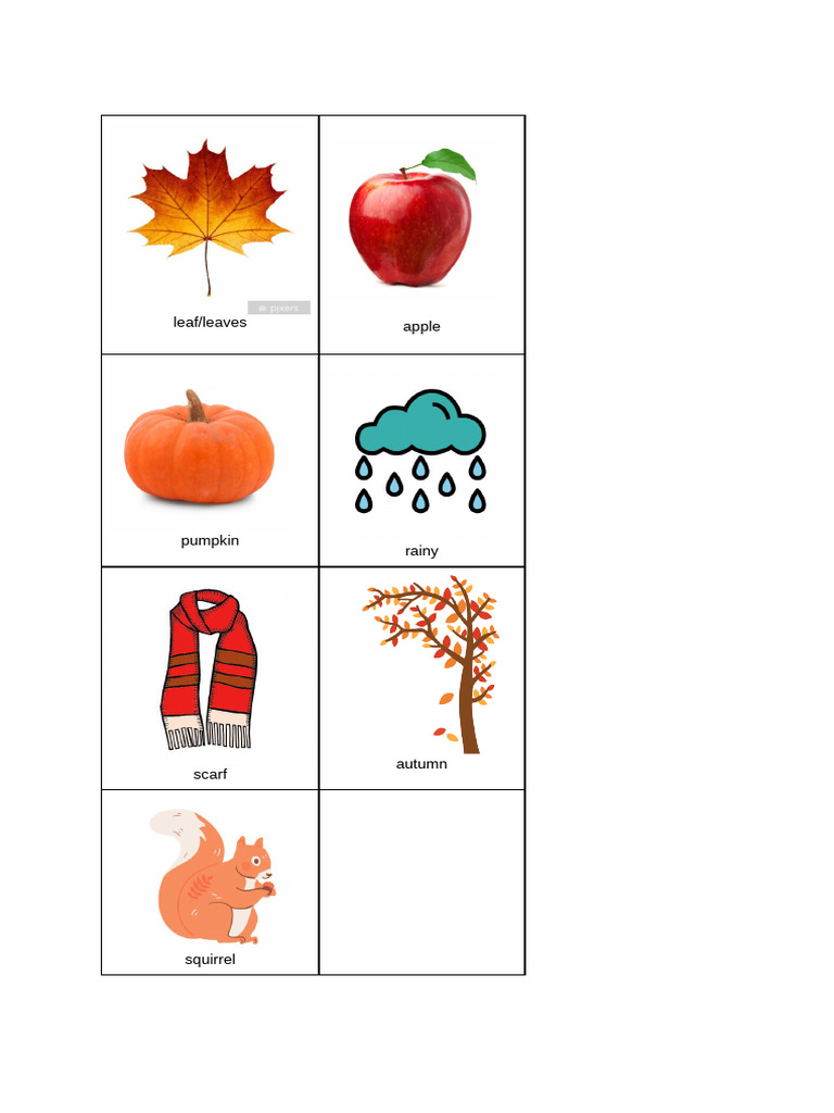 Flashcards Autumn Kids | PDF