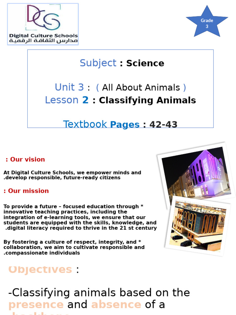 Grade 3 (Classifying Animals) | PDF