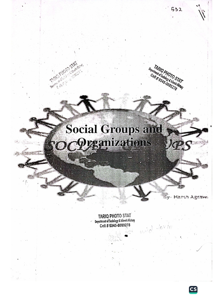 Social Groups and Organizations | PDF