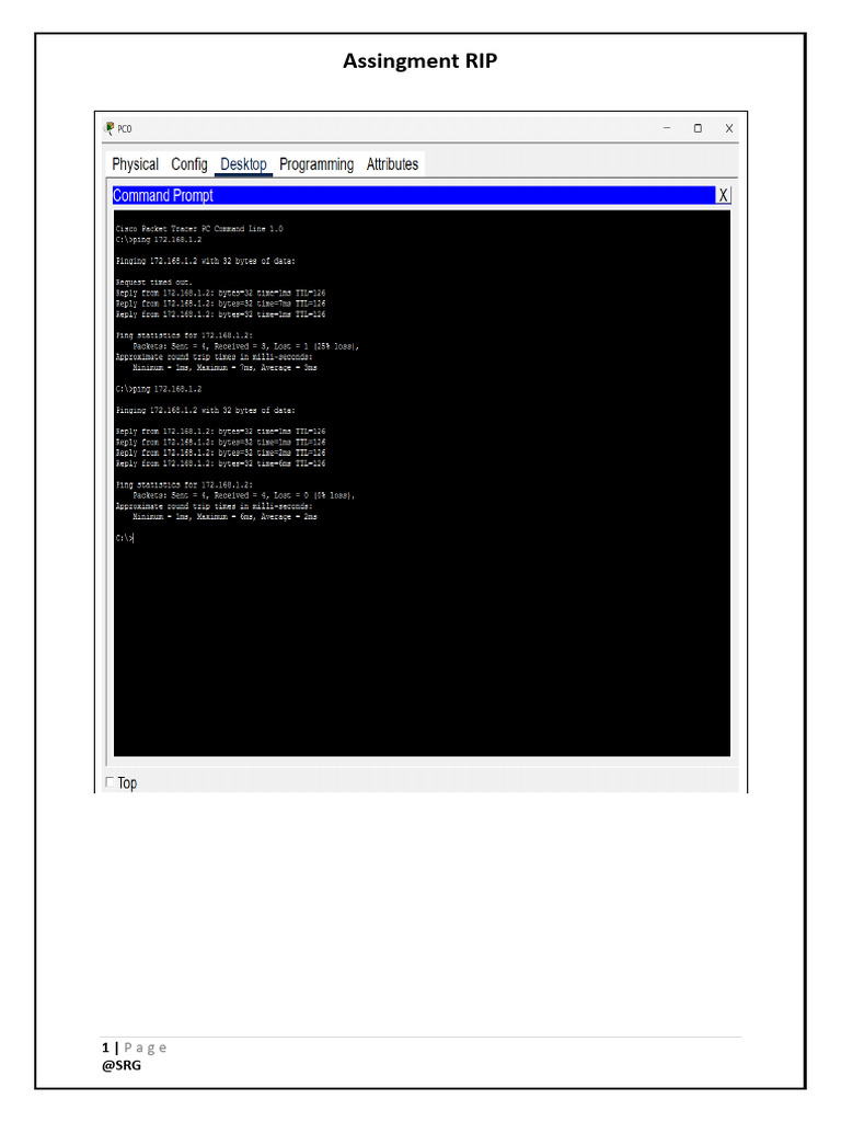 Assingment RIP | PDF