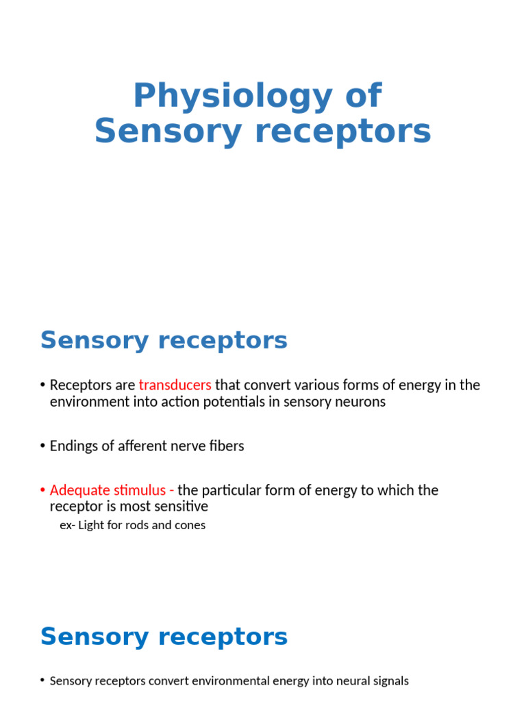 Physiology of Sensory Receptors Explained | PDF | Stimulus (Physiology ...
