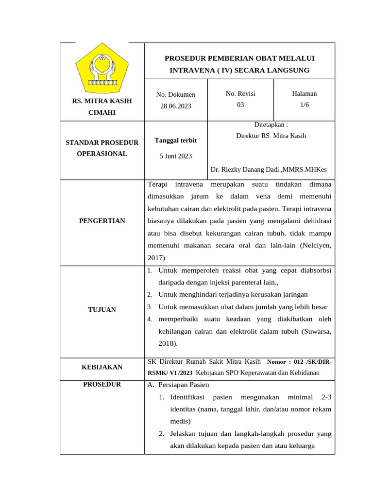 Spo Pemberian Obat Melalui Intravena Secara Langsung | PDF