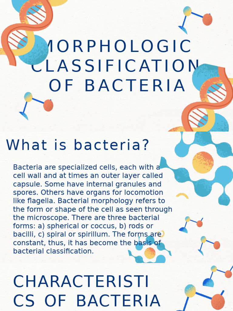 Bacterial Morphology and Classification | PDF | Bacteria | Microscopy