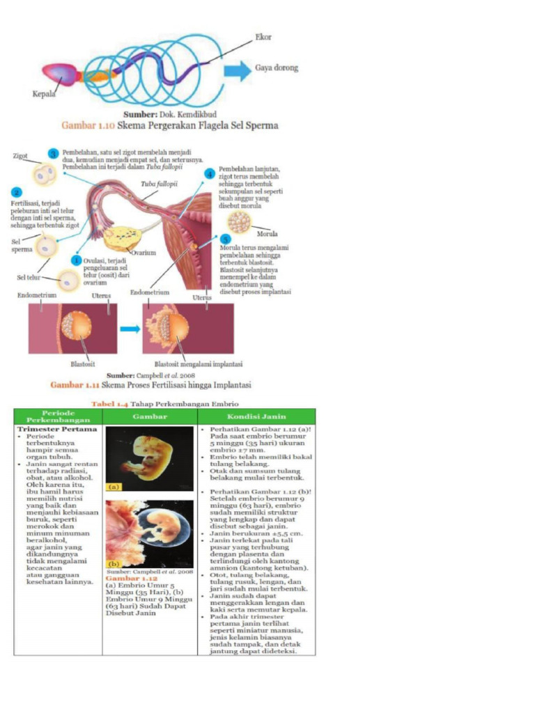 Tgs Nabilaa | PDF