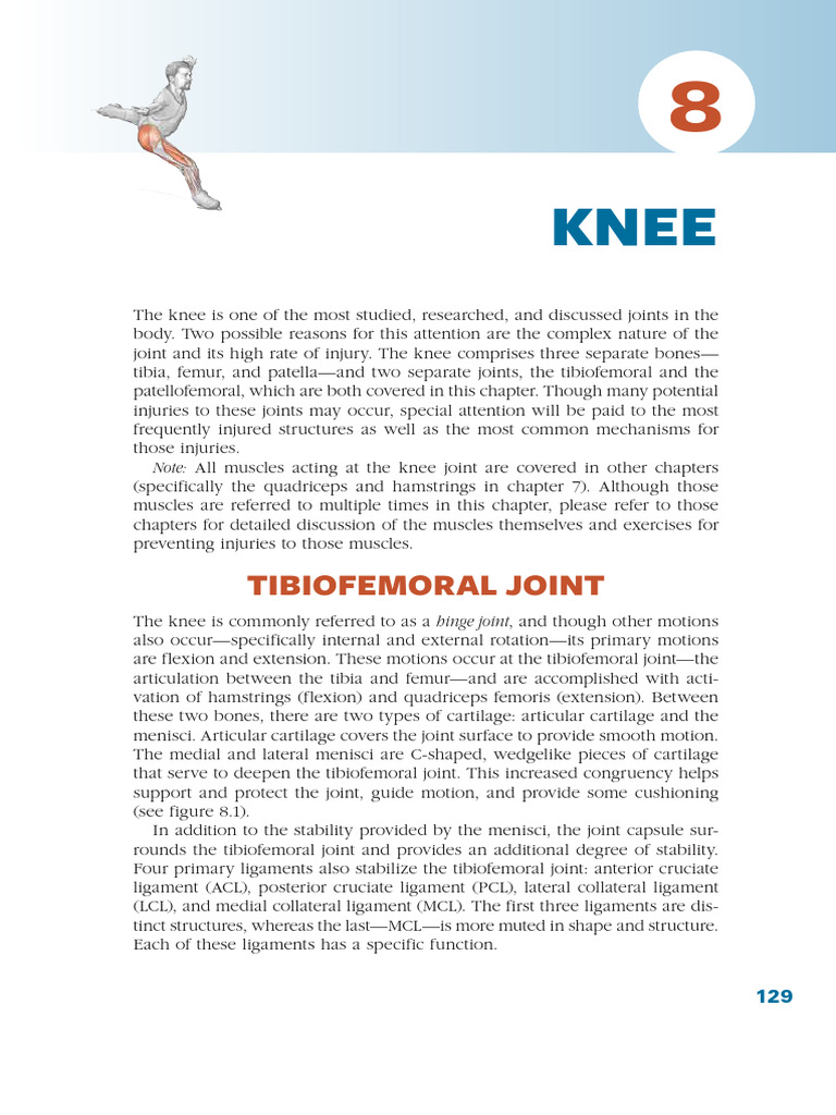 Sport Injury Prevention Anatomy - (Chapter 8 Knee) | PDF | Knee | Soft ...