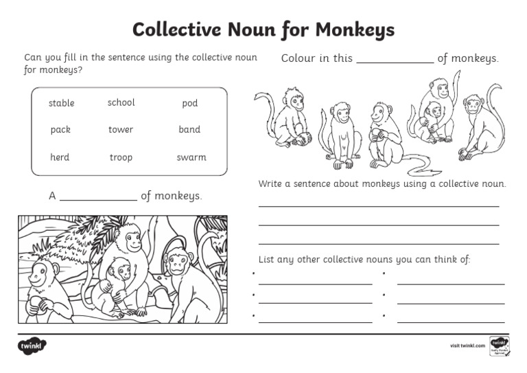 T e 1679480363 Collective Noun Monkeys Worksheet Ver 2 | PDF