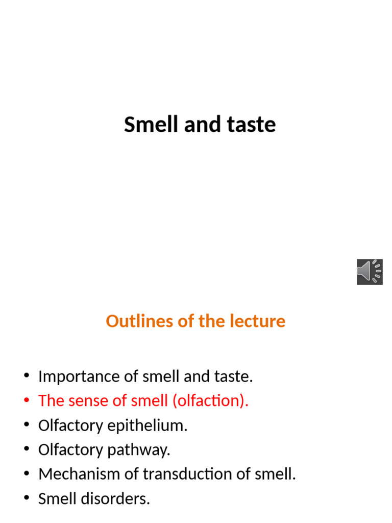 1 Smell and Taste Part 1 | PDF | Olfactory System | Senses