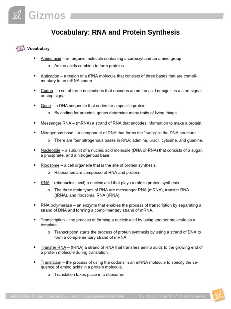 Rna Protein Synthesis Vocab | PDF