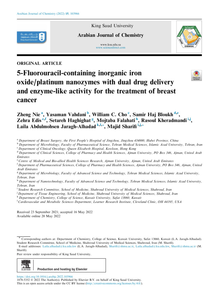 5-Fluorouracil-Containing Inorganic Iron Oxide/platinum Nanozymes With ...