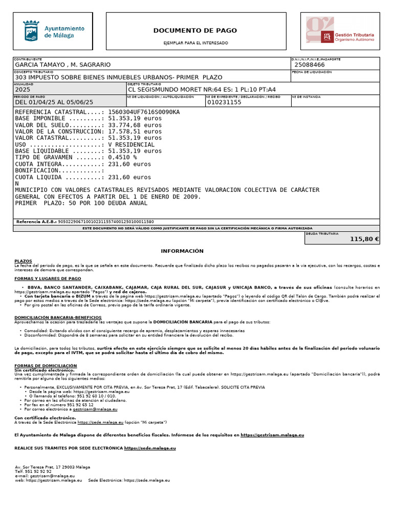 Carta de Pago IVTM Málaga 2025 | PDF