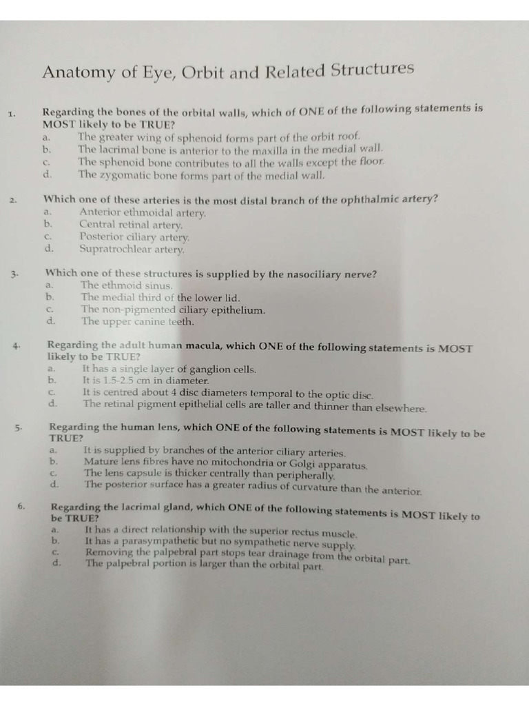 ICO Basic Exam 2020 October (3) Kopyası 2 | PDF