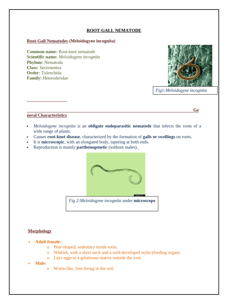 General Parasitology Root | PDF | Organisms | Botany