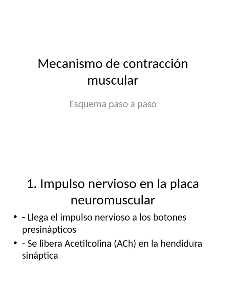 Mecanismo Contraccion Muscular | PDF