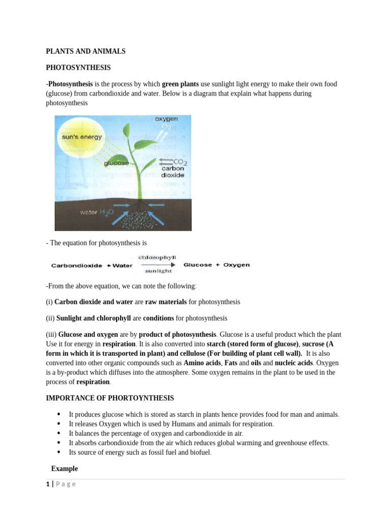 Photosynthesis Process and Experiments | PDF | Photosynthesis | Carbon ...