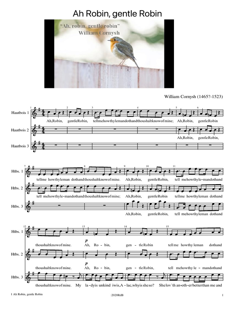 Ah Robin Gentle Robin | PDF