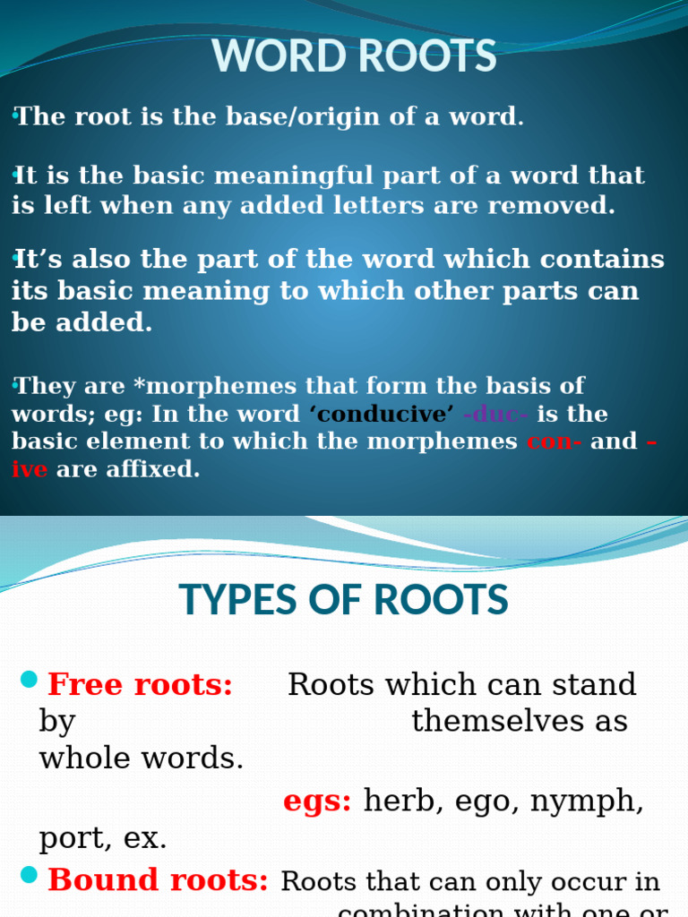Understanding Word Roots and Types | PDF | Word